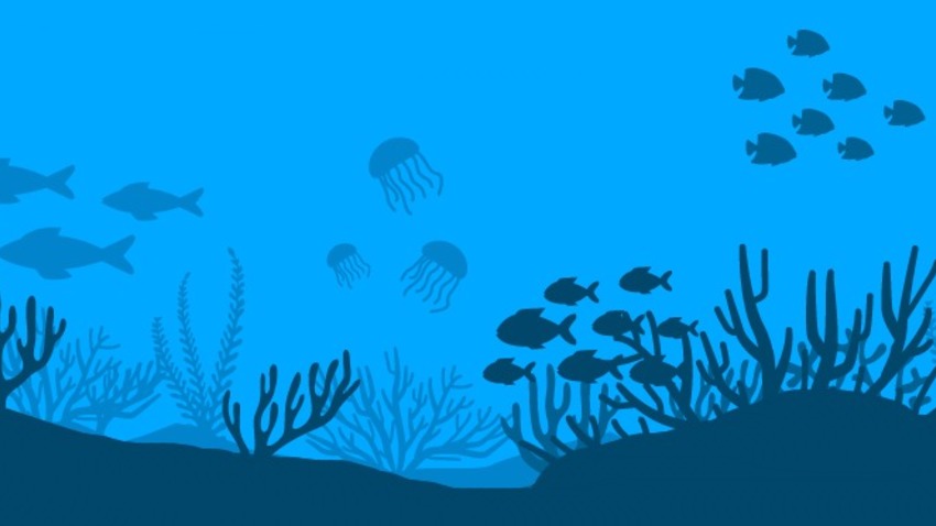 Φεστιβάλ Fish Forward από τo WWF | deBóp