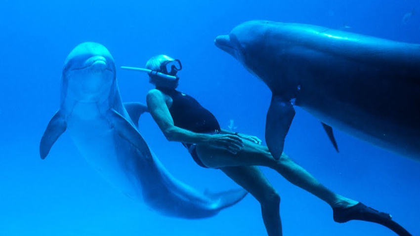 Dolphin Man | Ένα ντοκιμαντέρ για τον Ζ. Μαγιόλ | deBóp